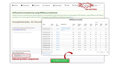 Dbapis A Database Of Anti Prokaryotic Immune Systems
