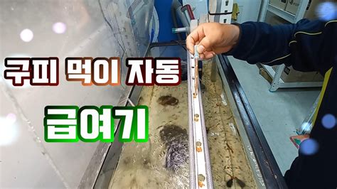 물고기 자동 먹이 공급기 구피 어항 자동 먹이 급여기 Youtube