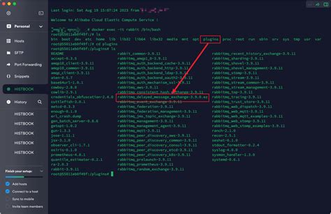 Golang RabbitMQ 延迟队列的两种实现方法详解 golang 延时队列 CSDN博客