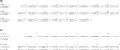 A Alignment Of The Exon 2 And B Partial Protein Sequence Alignment