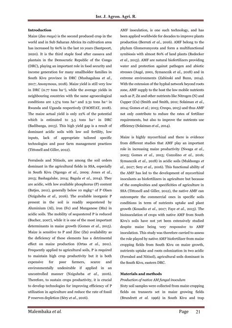 Role Of Native Arbuscular Mycorrhizal Fungi On Maize Zea Mays Growth