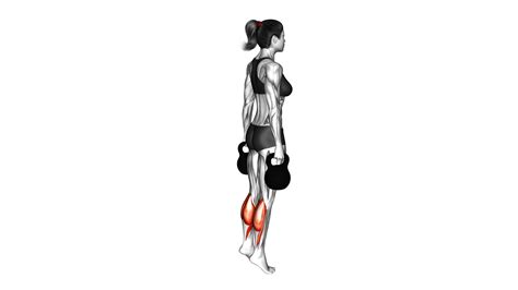 Calves Exercises Workout Guru