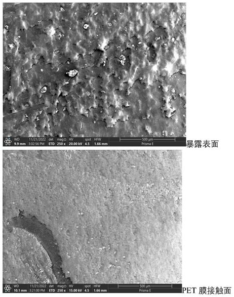 牙贴及其制备方法与流程