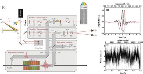 Pulse To Pulse Detection Scheme A Schematic Of The Experimental Download Scientific Diagram