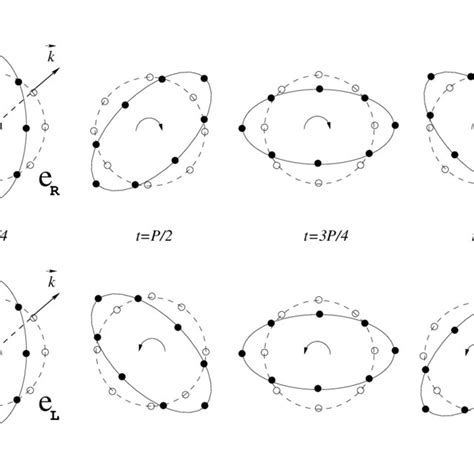 Schematic Deformations Produced On A Ring Of Freely Falling Particles Download Scientific