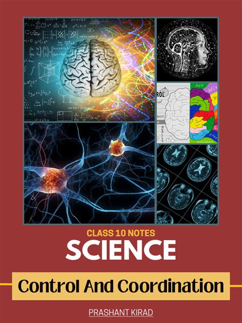 Control And Coordination Short Notes Prashant Kirad Pdf Neuron