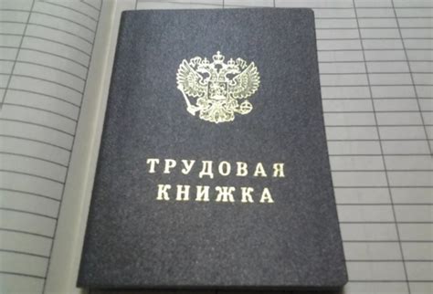 Новая форма выписки из электронной трудовой книжки