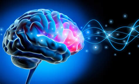 A Speech Processing System Inspired By The Human Brain — En