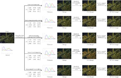 Example Of Diagonal Color Constancy Using Spectral Sharpening For Five