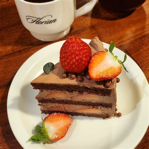 대구 카페 동성로 커피 맛집 디저트 맛집 예쁜 정원 카페 카페 플로리안 네이버 블로그