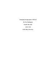Critiquing Strategic Plans USDA IT 1 Docx Critiquing Strategic Plans