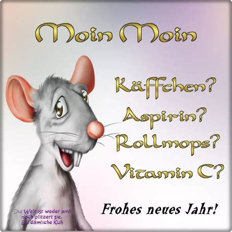 Pin Von Melanie Rothstein Auf Neujahr Silvester Lustig Neujahr