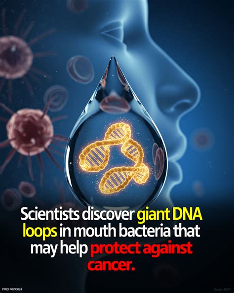 Doctor Inside Our Mouths Scientists Have Uncovered Enormous Rings Of