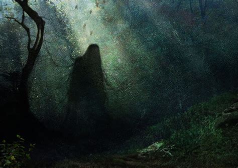 Makhluk Misterius Muncul Di Agam Sumbar Warga Resah
