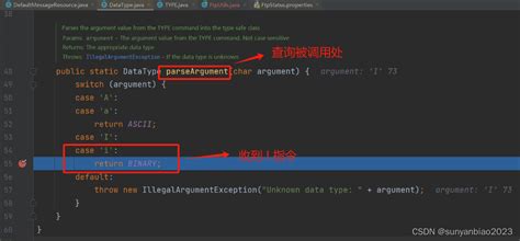 java搭建ftp服务端通过type i指令不能获取二进制文件 ftp type i csdn博客