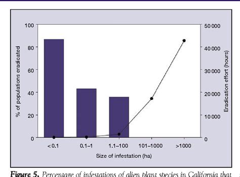 Zebra Mussel Diagram