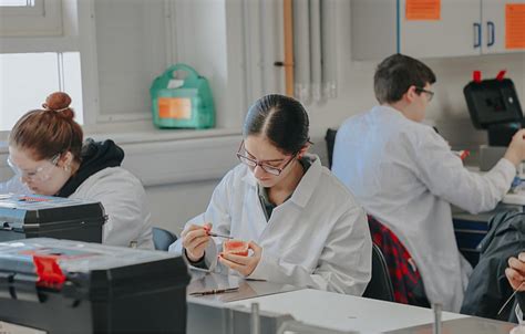News British Science Week How A University Level Programme Can Help