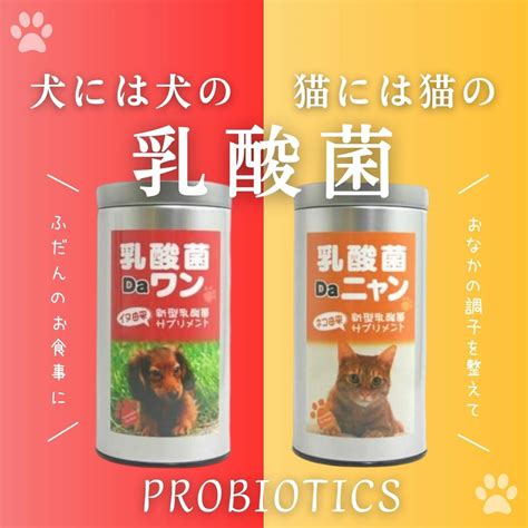 【楽天市場】ズーム 乳酸菌daニャン 1g×20包 猫用 粉末 サプリメント 健康食品 元気 気力 アップ 免疫力 高める 感染予防 子猫