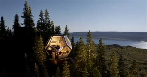 Testing D5 Trees Gallery D5 RENDER FORUM