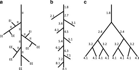 Root System Topology A Link Types Ee External External Ei