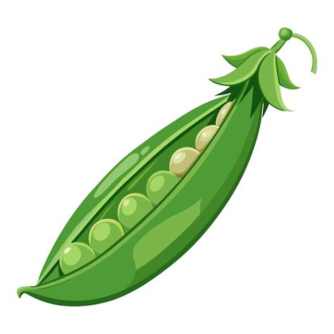Иллюстрация вектора Pea Clipart Премиум Ai сгенерированный вектор