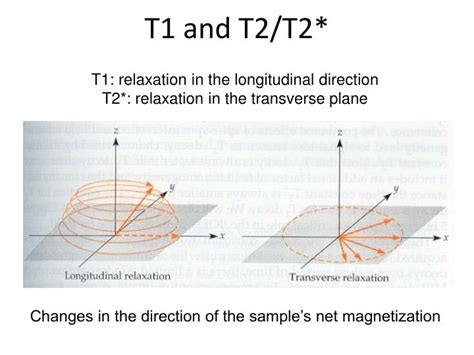 PPT FMRI Methods Lecture MRI Physics PowerPoint Presentation ID