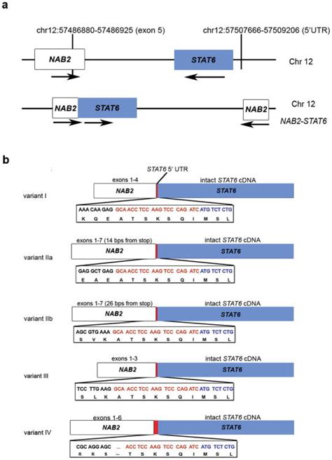 Whole Exome Sequencing Identifies A Recurrent Nab2 Stat6 Fusion In