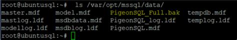 Change SQL Server Collation On Linux