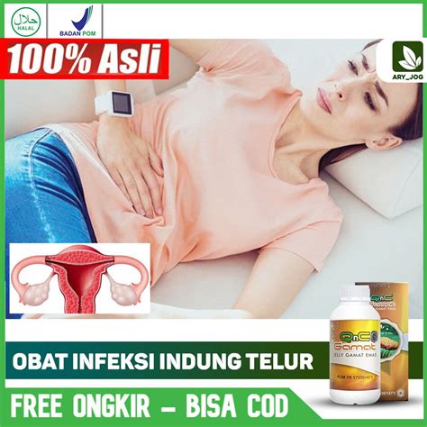 Jual Obat Infeksi Indung Telur Infeksi Saluran Kemih Rahim Vagina