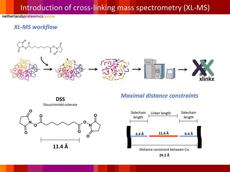 Fan Liu Utrecht University The Netherlands Ppt Download