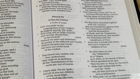 KJV Paragraph Style Large Print Thinline Bible Review Bible Buying Guide