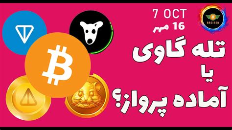 تحلیل بیت کوین آماده پرواز باشیم؟ تحلیل نات کوین، داگز، همستر Youtube