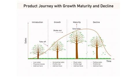 Maturity Journey Powerpoint Templates Slides And Graphics