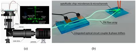 Sensors Free Full Text On Chip Photonic Detection Techniques For Non Invasive In Situ