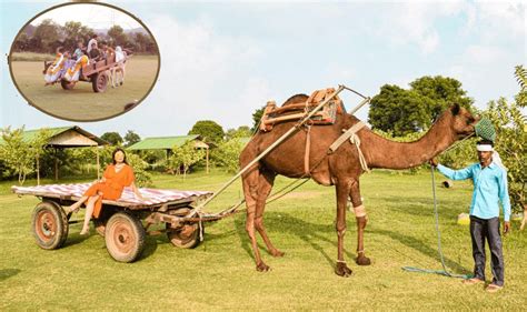Weekend Getaway Near Delhi For Families And Large Groups