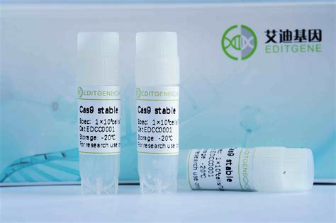 Cas9稳转细胞株 基因敲除细胞点突变文库筛选crispr检测艾迪基因【官网】