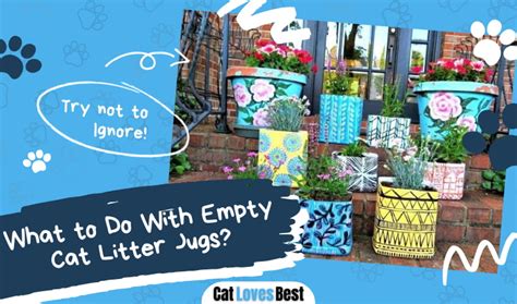 What To Do With Empty Cat Litter Jugs