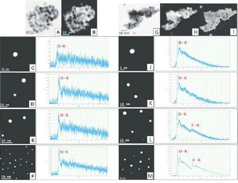 Tem Micrographs Of The Non F Compatibilized 3 From The Bright Field