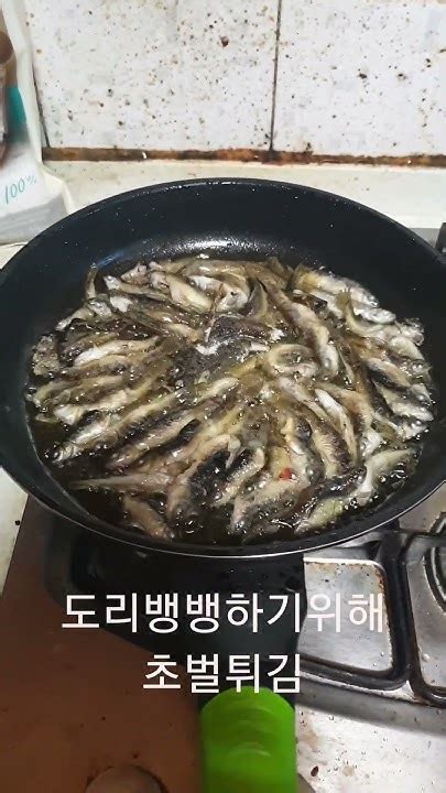민물고기 잡아서 도리뱅뱅 너무너무 맛있어요 Youtube