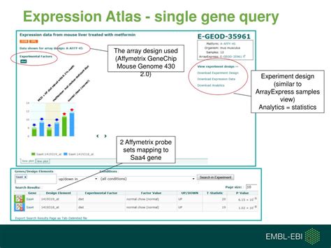 ppt gene expression services arrayexpress and the gene expression
