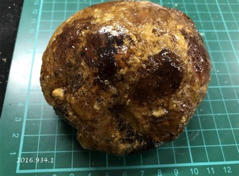 Kauri Gum 20169341 Ehive