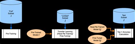 The Model Pre Training And Tl Pipeline Download Scientific Diagram