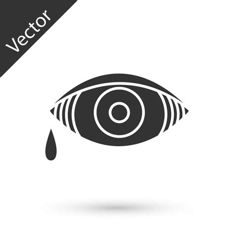 Conjuntiva Free Stock Vectors