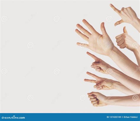 Multiple Female Hand Gestures On Gray Background Stock Image Image Of