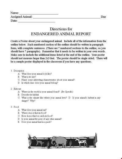 Project Report Declaration Format