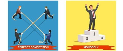 Difference Between Monopoly And Perfect Competition Key Differences