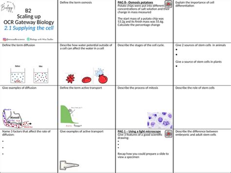 Ocr Gateway Biology Gcse Revision Grid B2 Scaling Up Teaching Resources