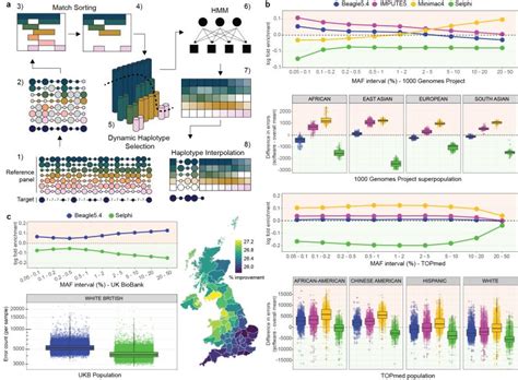 Introducing Selphi A New Genotype Imputation Tool Adriano De Marino Posted On The Topic