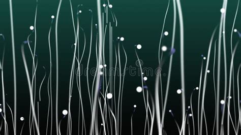 Semen Swimming Towards Egg In The Womb Stock Footage Video Of Orgasm