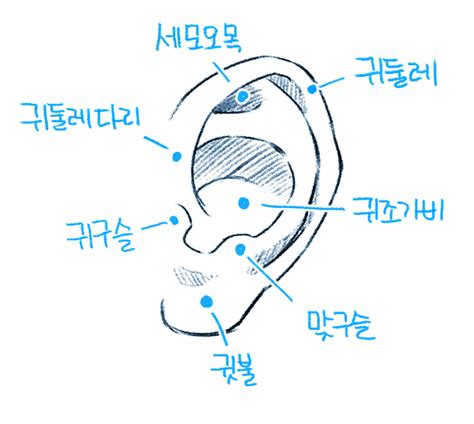 계양 애니포스 자료봇 On Twitter 드로잉 강좌 그리기 튜토리얼 신체 드로잉